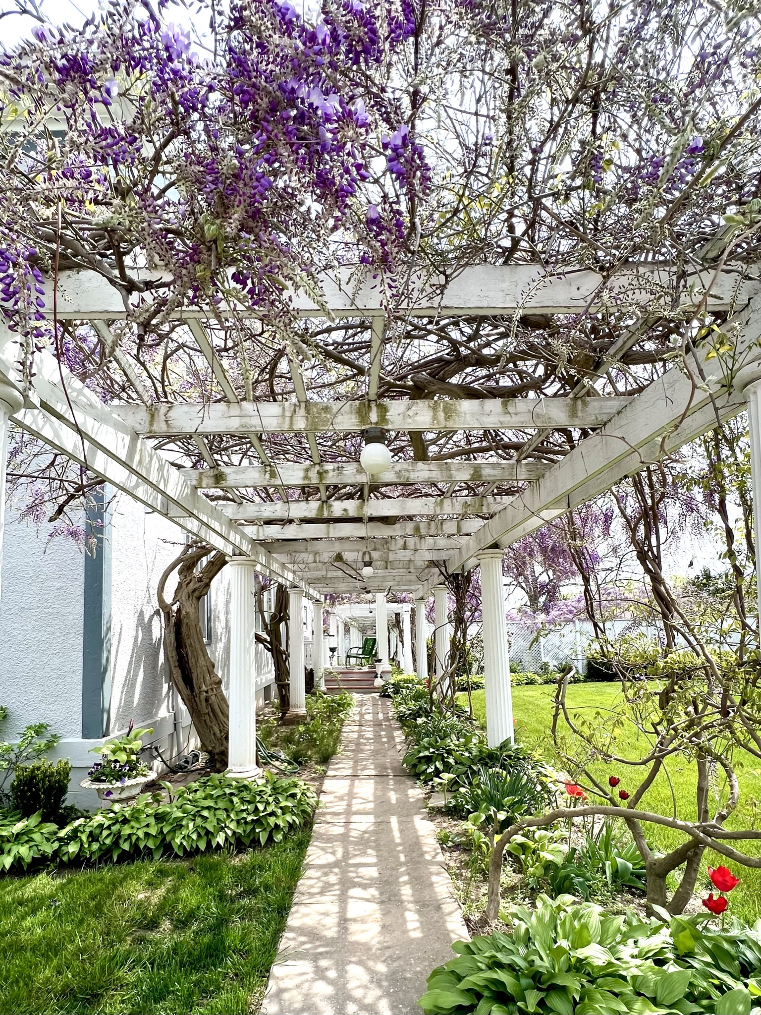 Relax, Unwind, and Explore: 10 Things to Do in Jordan Village