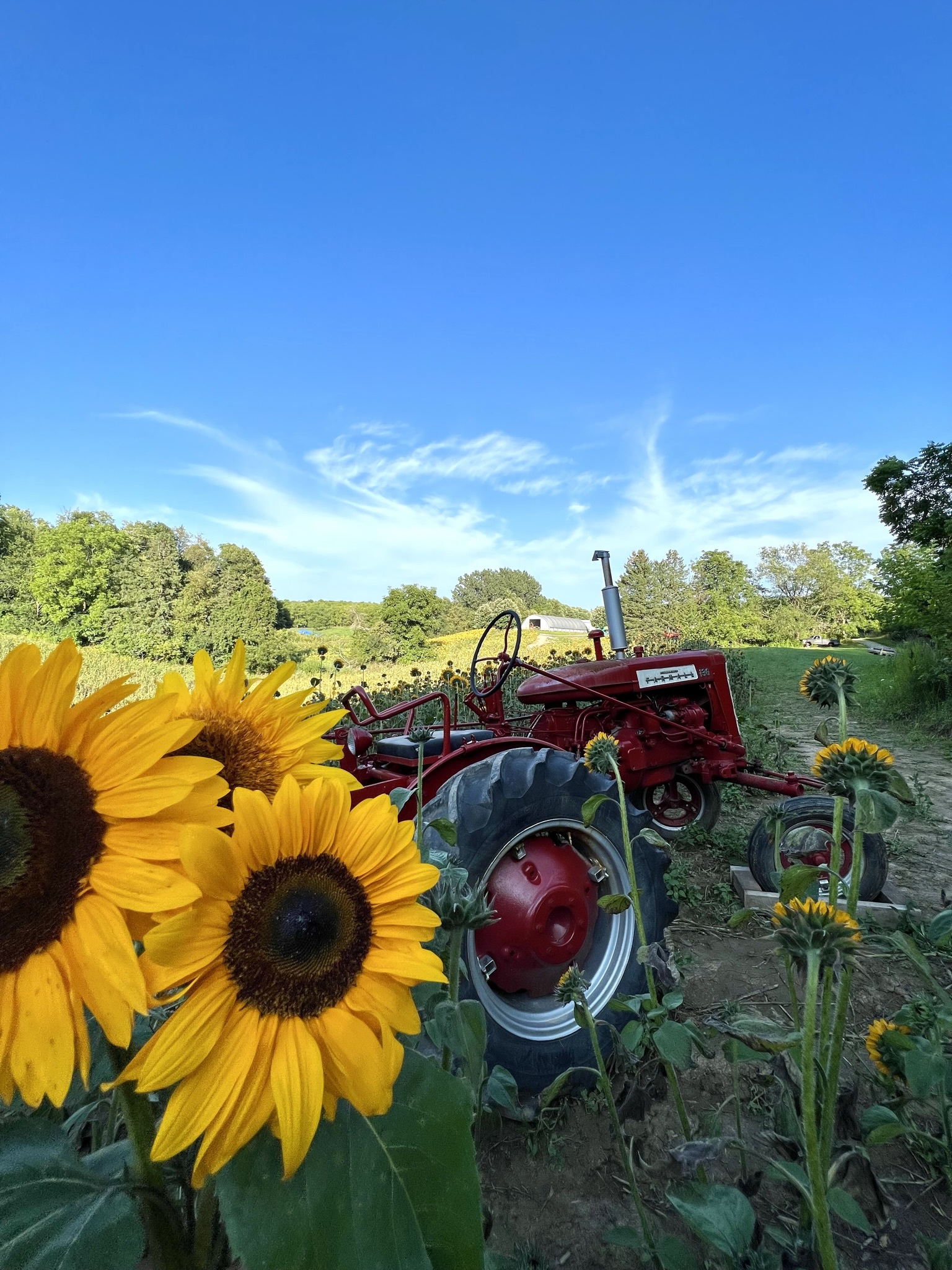 Niagara Region in Summer: Best Activities & Hidden Gems