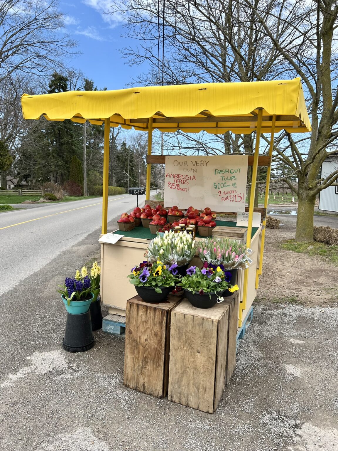 30+ Things to do in Niagara-on-the-Lake Beyond the Wineries!