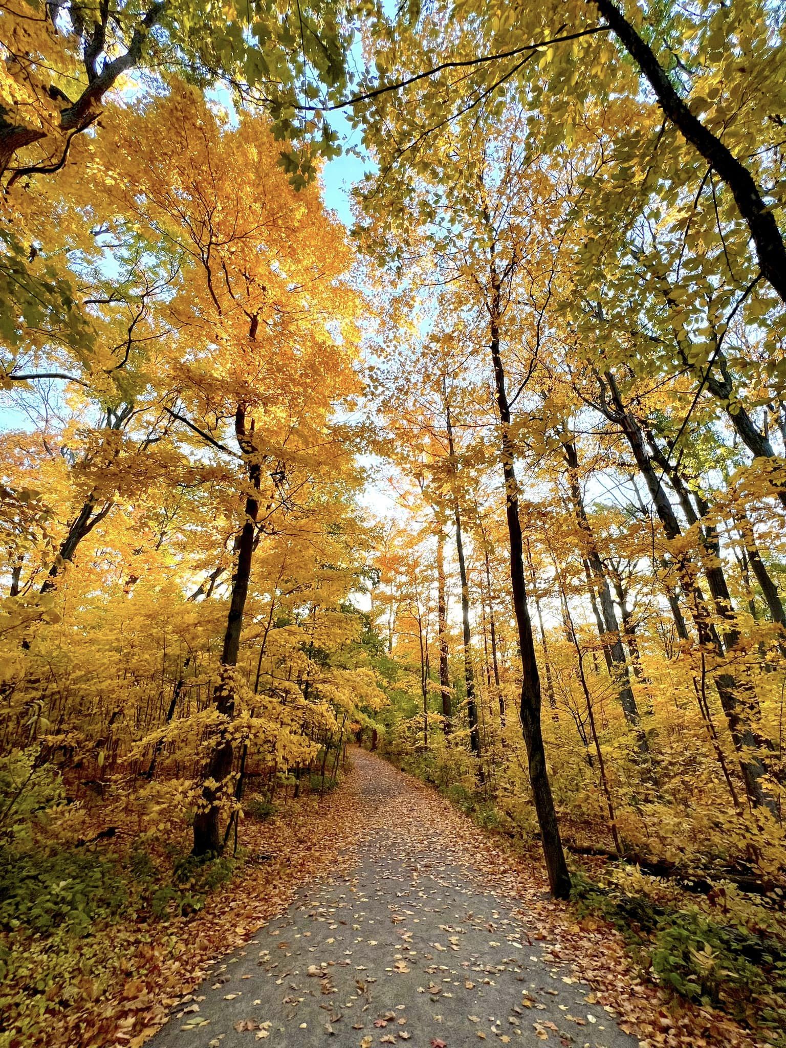 8 Hikes to Experience the Magic of Autumn Colours in Niagara