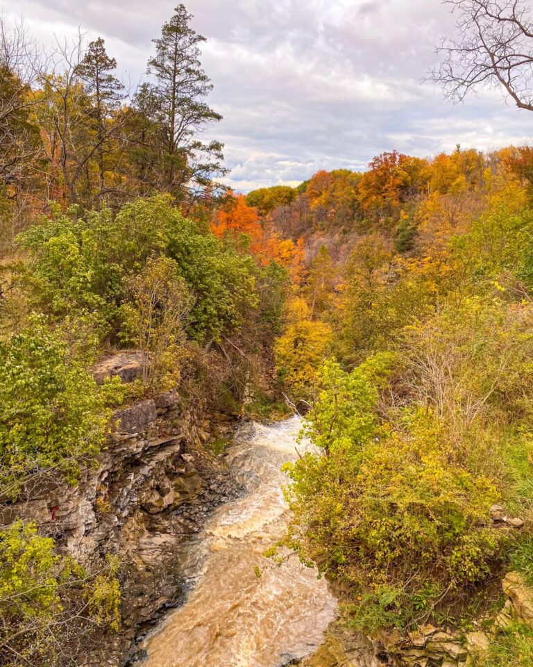 8 Hikes to Experience the Magic of Autumn Colours in Niagara