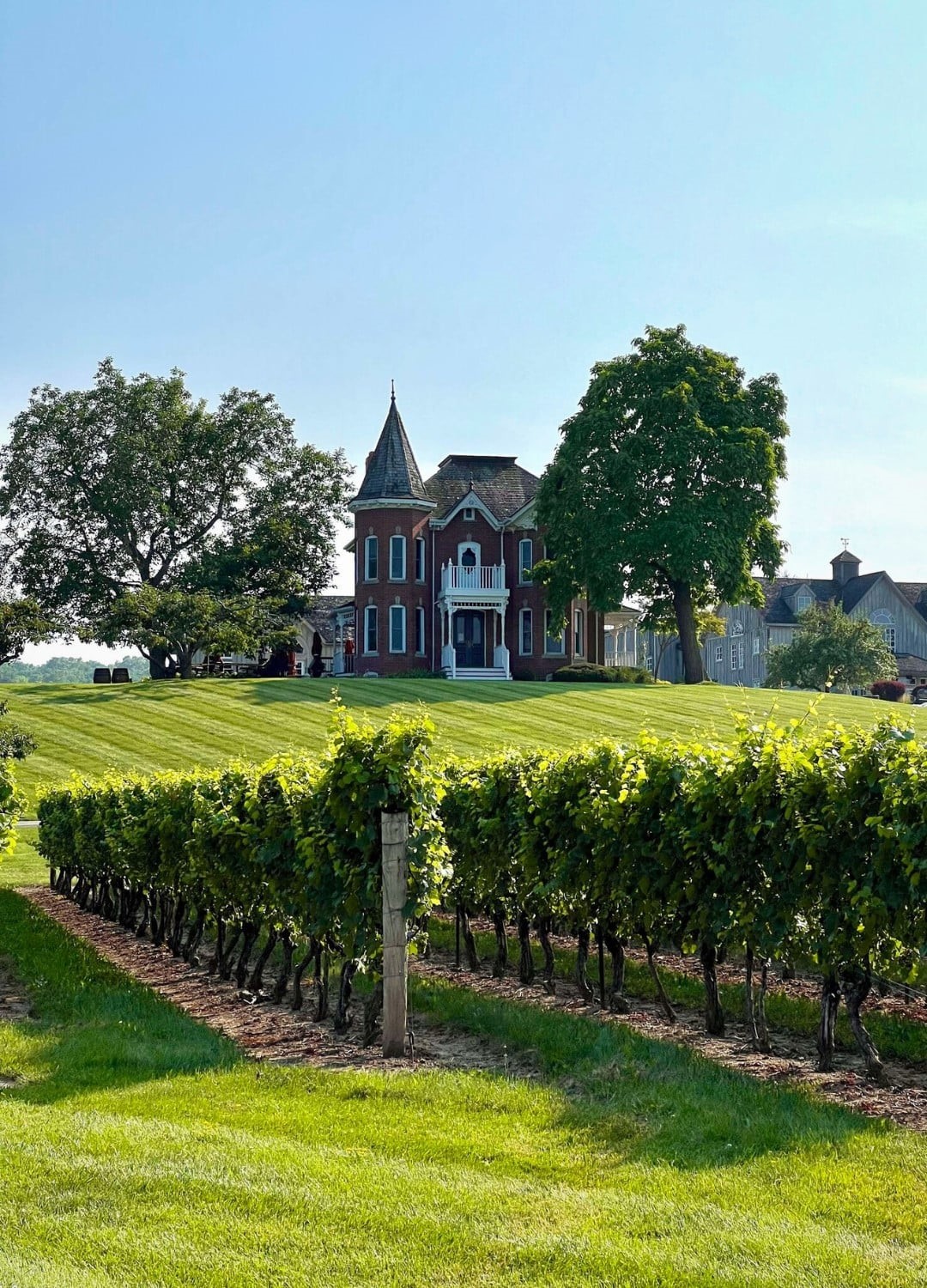 13 Beautiful Wineries with Restaurants in Lincoln