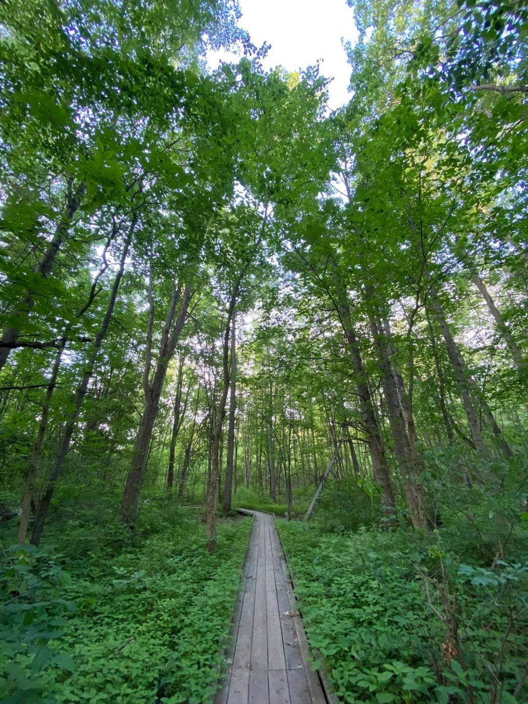 25 Totally Free Things to Do in Niagara Falls