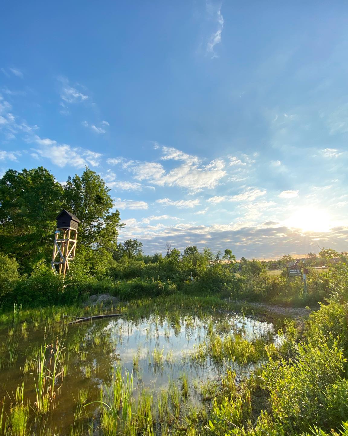 25 Totally Free Things to Do in Niagara Falls