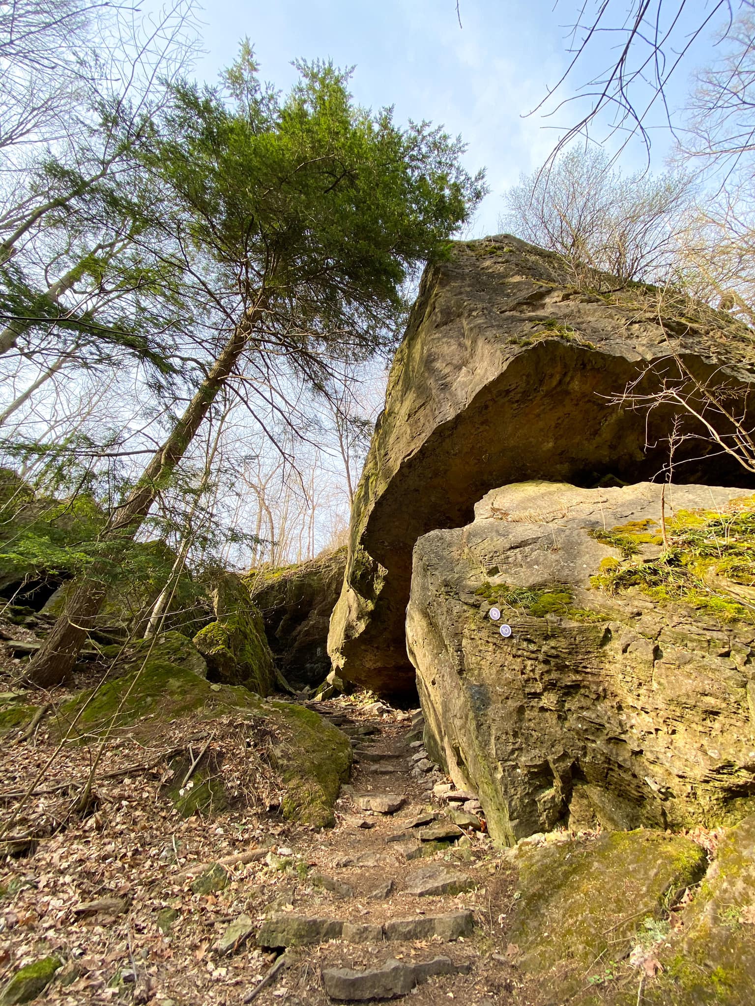 Where to See the Best Spring Blooms in Niagara Falls