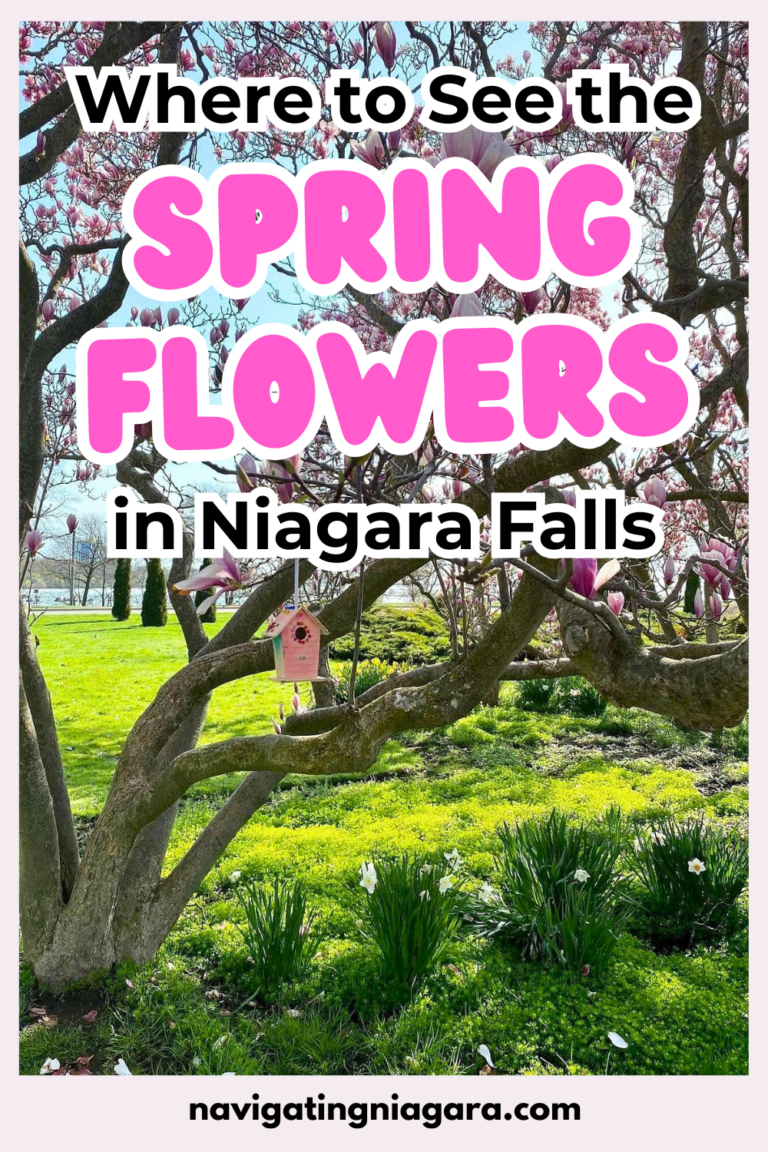 Where to See the Best Spring Blooms in Niagara Falls