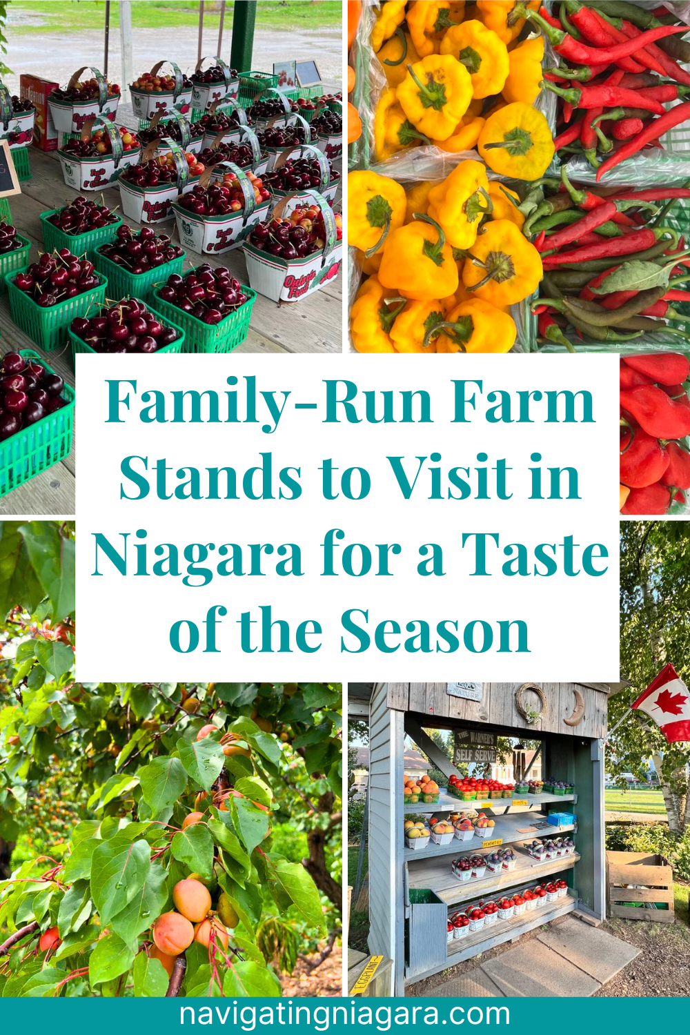 10 Family-Run Farm Stands to Visit in Niagara this Summer