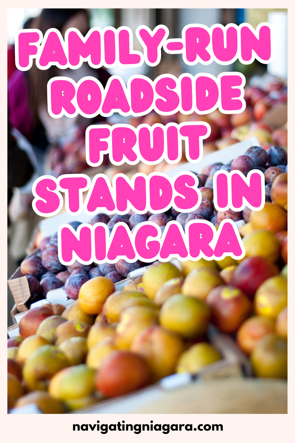 10 Family-Run Farm Stands to Visit in Niagara this Summer
