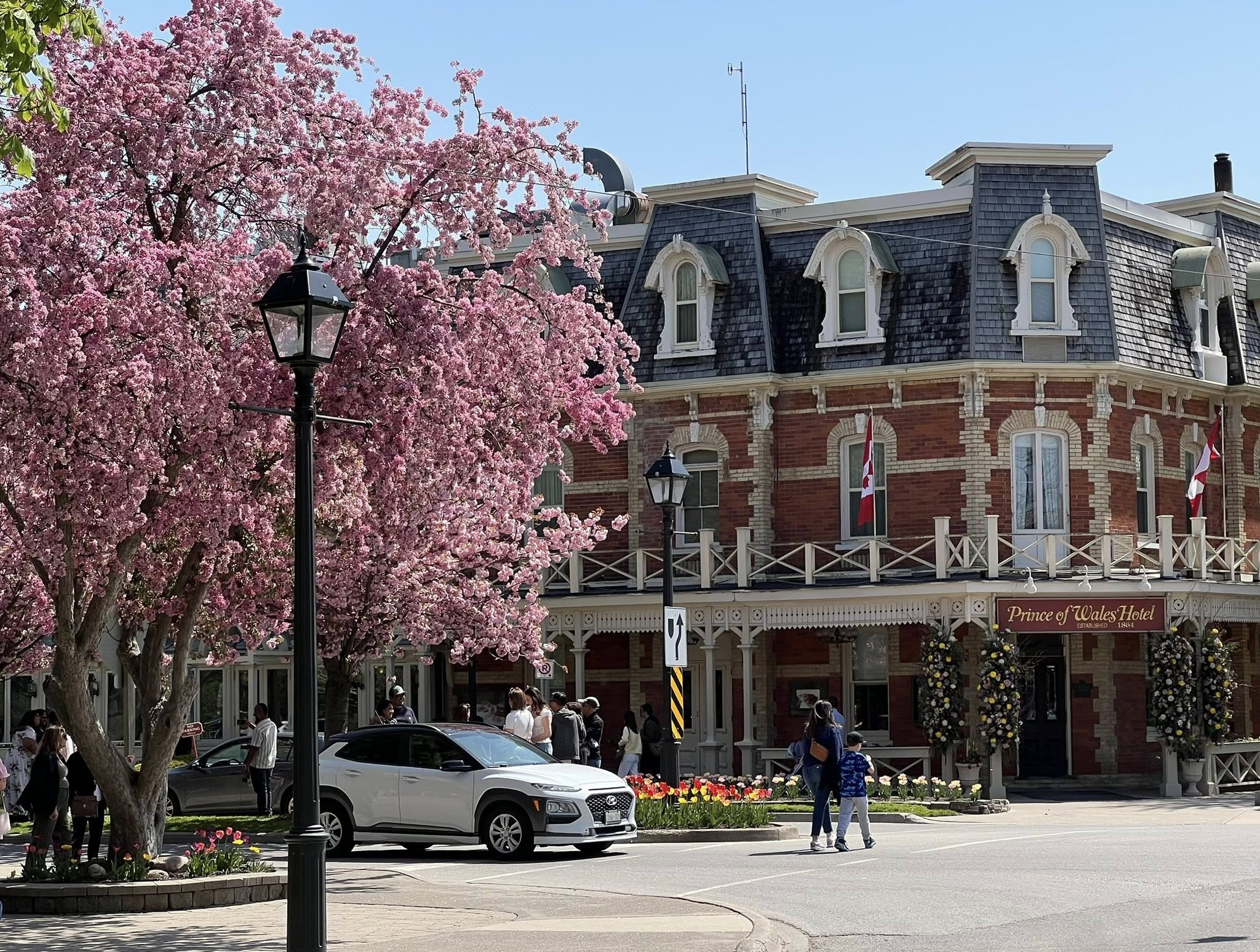 Niagara-on-the-Lake In Bloom Festival: The Most Beautiful Spring Event ...